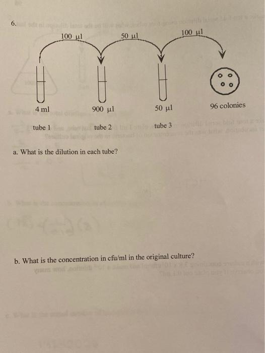Solved 6. 100 ul 50 u 100 u o 4 ml 900 ul 50 ul 96 colonies | Chegg.com