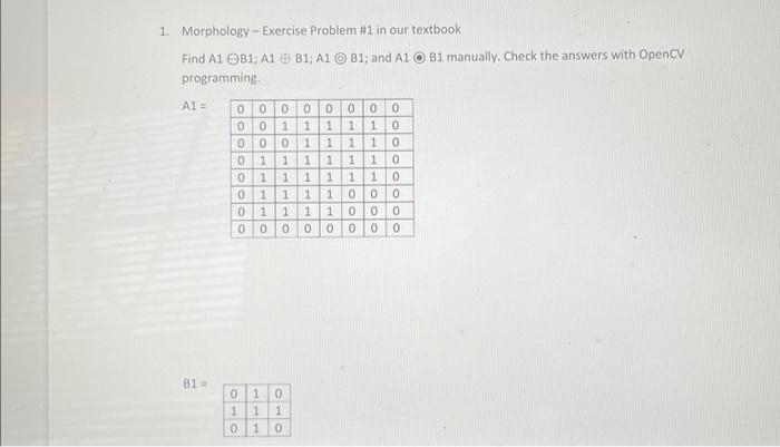 Solved Morphology - Exercise Problem \#1 in our textbook | Chegg.com