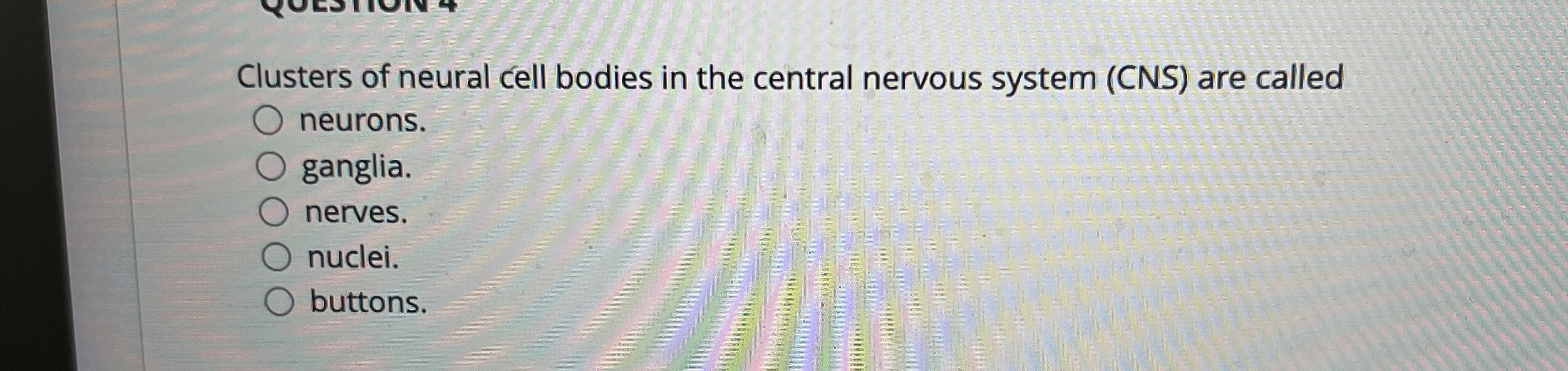 Solved Clusters of neural cell bodies in the central nervous | Chegg.com