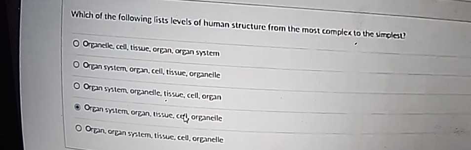 Solved Which of the following lists levels of human | Chegg.com
