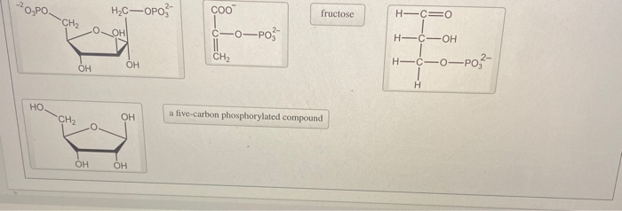 Solved Identify each given example as describing either a | Chegg.com