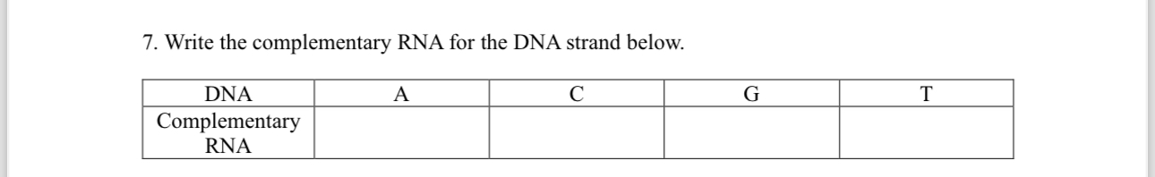 Solved Write the complementary RNA for the DNA strand below. | Chegg.com