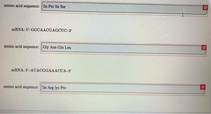 Solved given mRNA sequences, provide the amino acid | Chegg.com