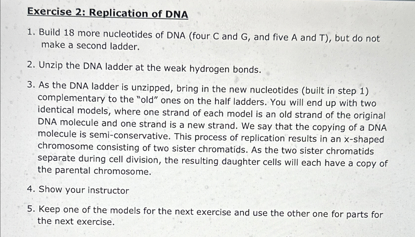 Solved Exercise 2: Replication of DNABuild 18 ﻿more | Chegg.com
