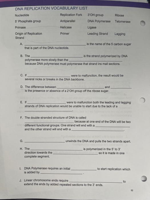 Solved DNA REPLICATION VOCABULARY LIST A. is the name of the | Chegg.com