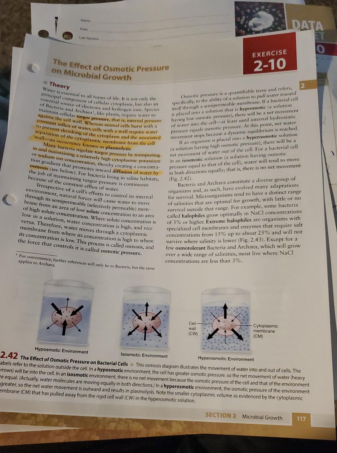 Plot relative turbidity (numeric values) versus salt | Chegg.com