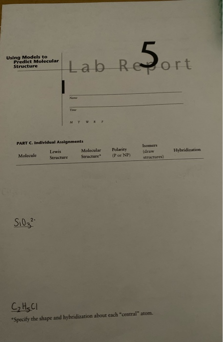 Solved Using Models to Predict Molecular Structure para la | Chegg.com