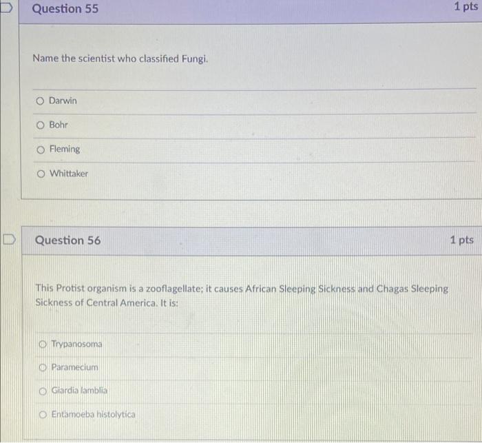 Solved D Question 57 1 pts In the tree of life, we discover | Chegg.com