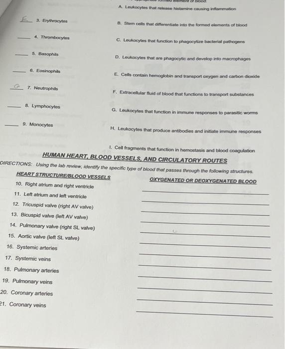 Solved match the letter of the description to the | Chegg.com