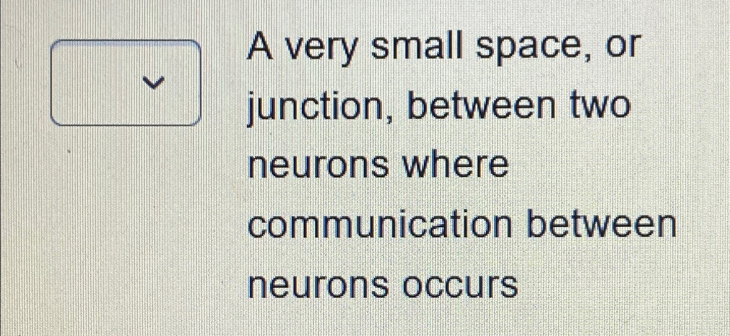 Solved A very small space, or junction, between two neurons | Chegg.com