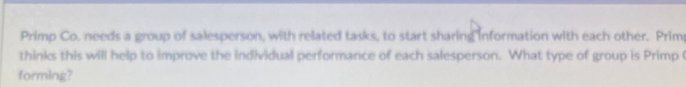 Solved Primp Co. ﻿needs a group of salesperson, with related | Chegg.com