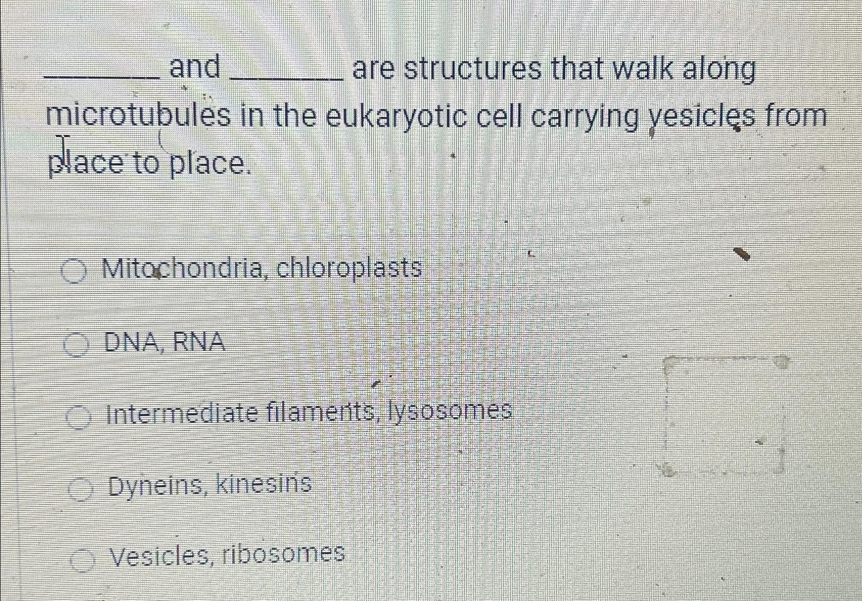 Solved and are structures that walk along microtubules in | Chegg.com