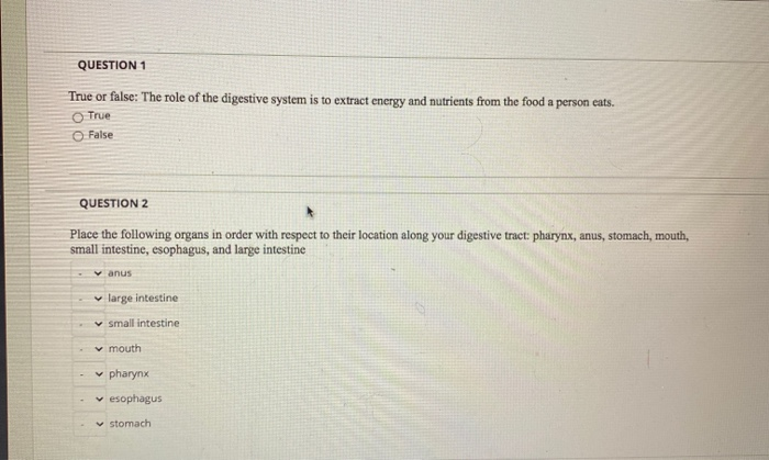 Solved QUESTION 1 True or false: The role of the digestive | Chegg.com