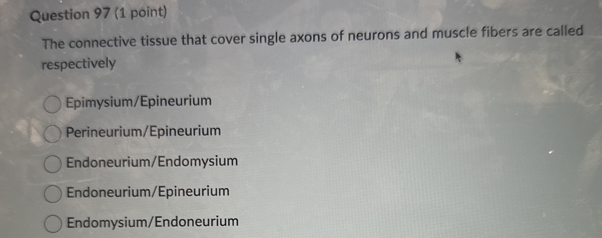 Solved Question 97 (1 ﻿point)The connective tissue that | Chegg.com