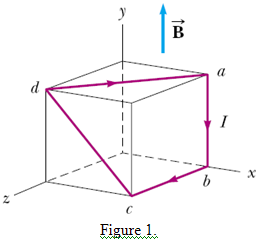 Solved The cube is 40.0 cm on each edge. Four straight | Chegg.com