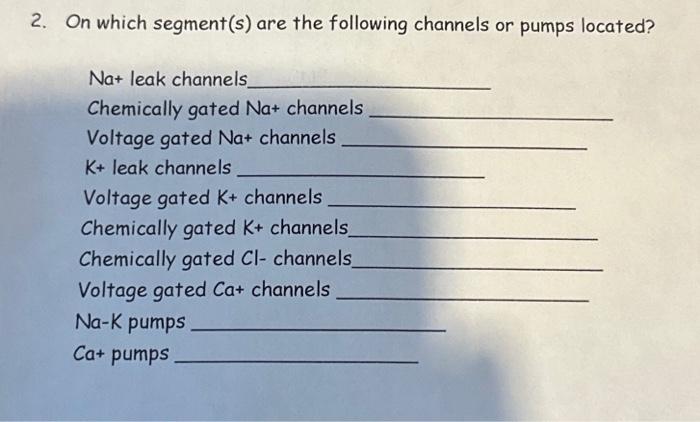 Solved 2. On which segment (s) are the following channels or | Chegg.com
