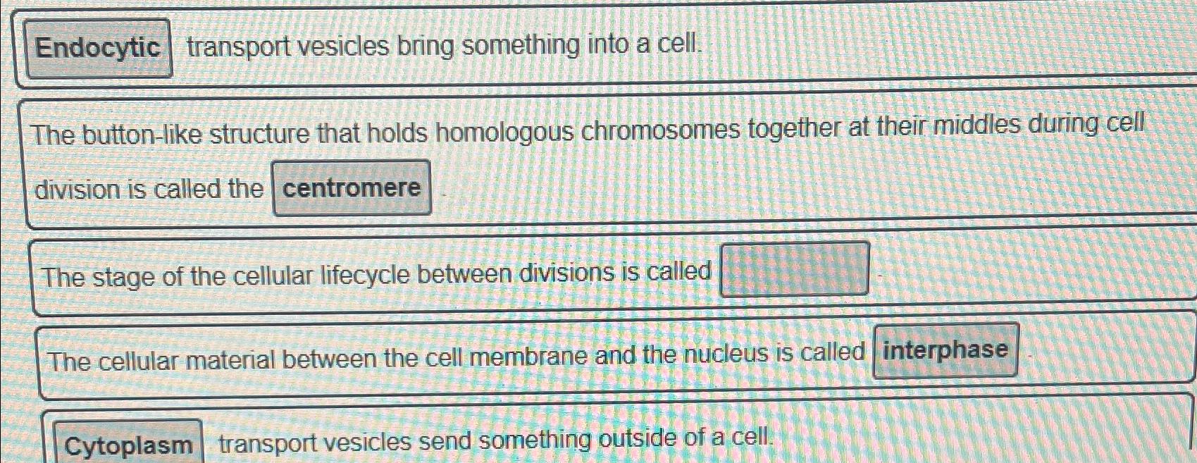 Solved transport vesicles bring something into a cell.The | Chegg.com