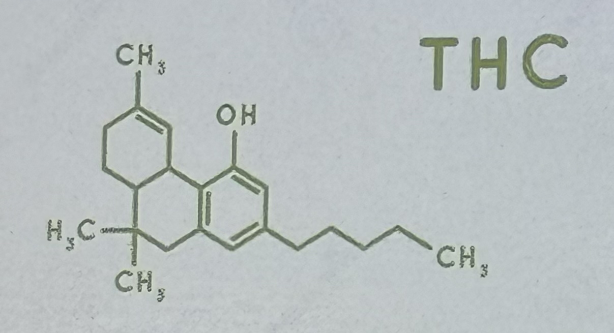 Solved 1)The structure of the synthesis anyioxidant of THC | Chegg.com