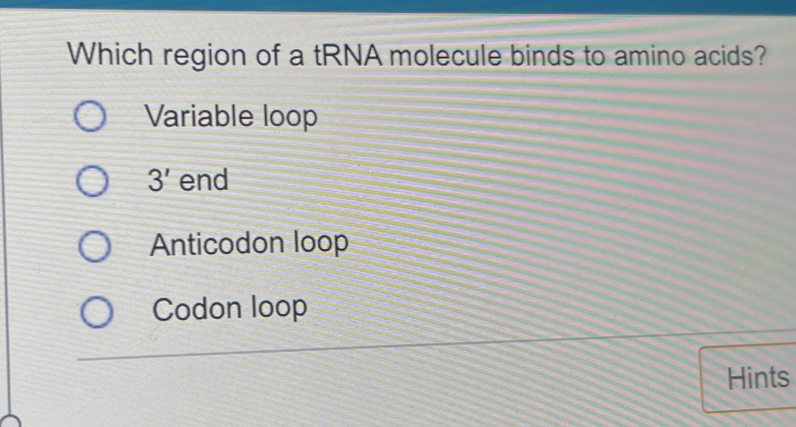 Solved Which region of a tRNA molecule binds to amino | Chegg.com