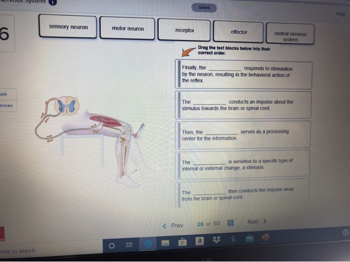 Solved Match the parts of a reflex arc with the appropriate | Chegg.com