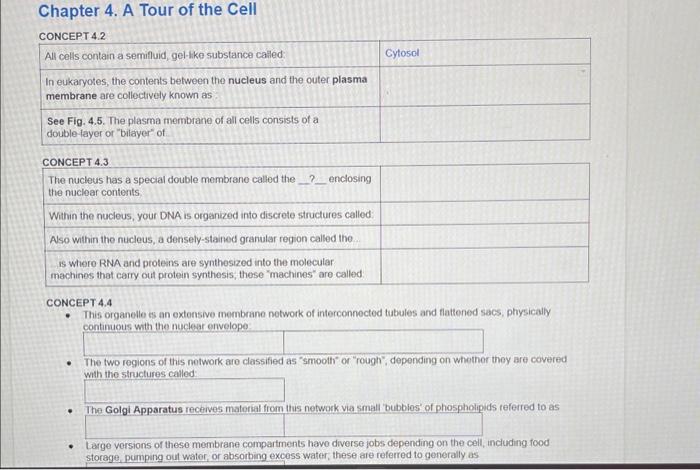 Solved Chapter 4. A Tour of the Cell CONCEPT 4.2 | Chegg.com