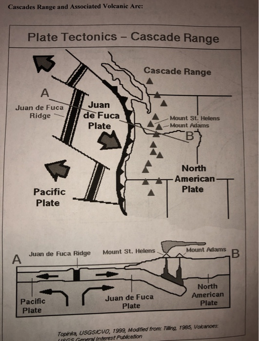 Solved 4. Looking at the linear cross section of the | Chegg.com