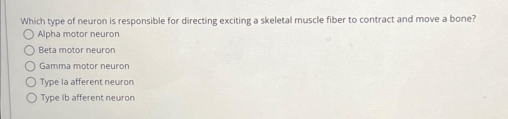 Solved Which type of neuron is responsible for directing | Chegg.com