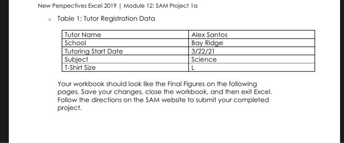 Solved New Perspectives Excel 2019 | Module 12: SAM Project | Chegg.com
