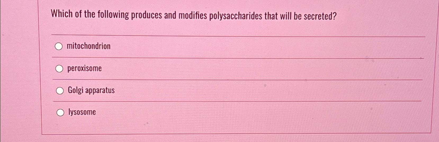 Solved Which of the following produces and modifies | Chegg.com