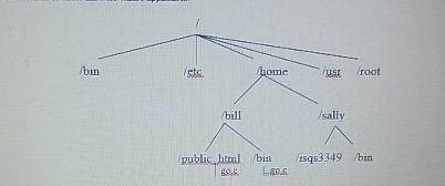 Solved create an alias for bem that runs "edit" for nano. | Chegg.com
