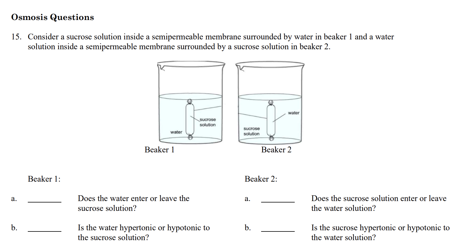 Solved Osmosis QuestionsConsider a sucrose solution inside a | Chegg.com