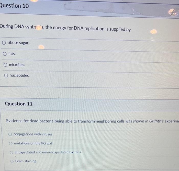 Solved During DNA synth :s, the energy for DNA replication | Chegg.com