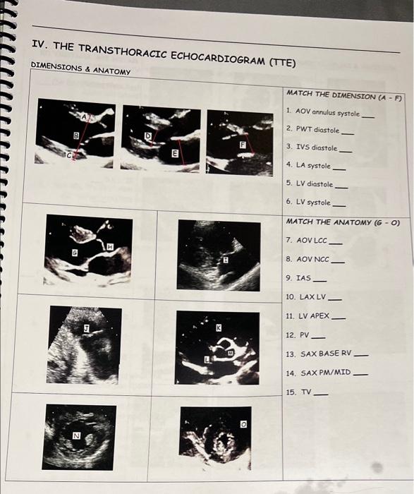 IV. THE TRANSTHORACIC ECHOCARDIOGRAM (TTE) DIMENSIONS | Chegg.com