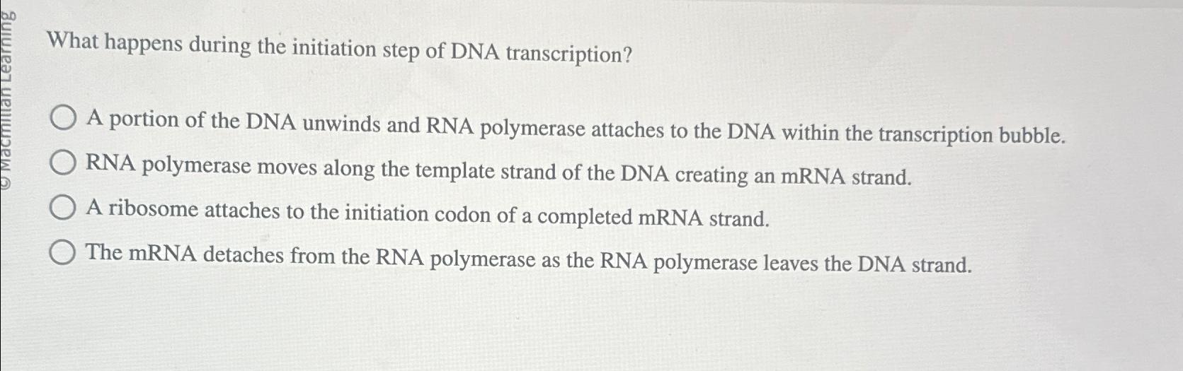 Solved What happens during the initiation step of DNA | Chegg.com