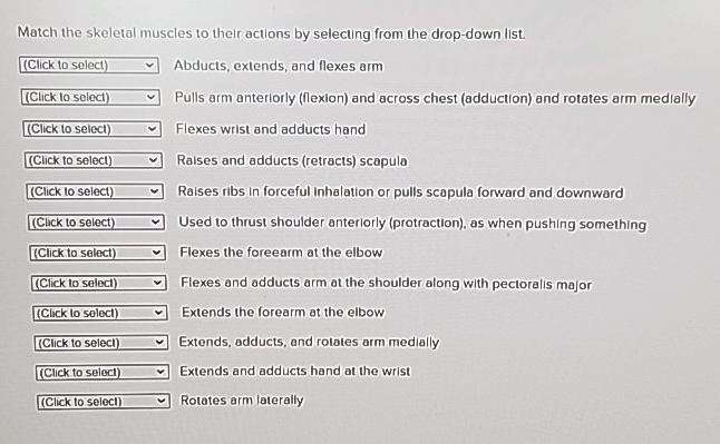 Solved Match the skeletal muscles to their actions by | Chegg.com