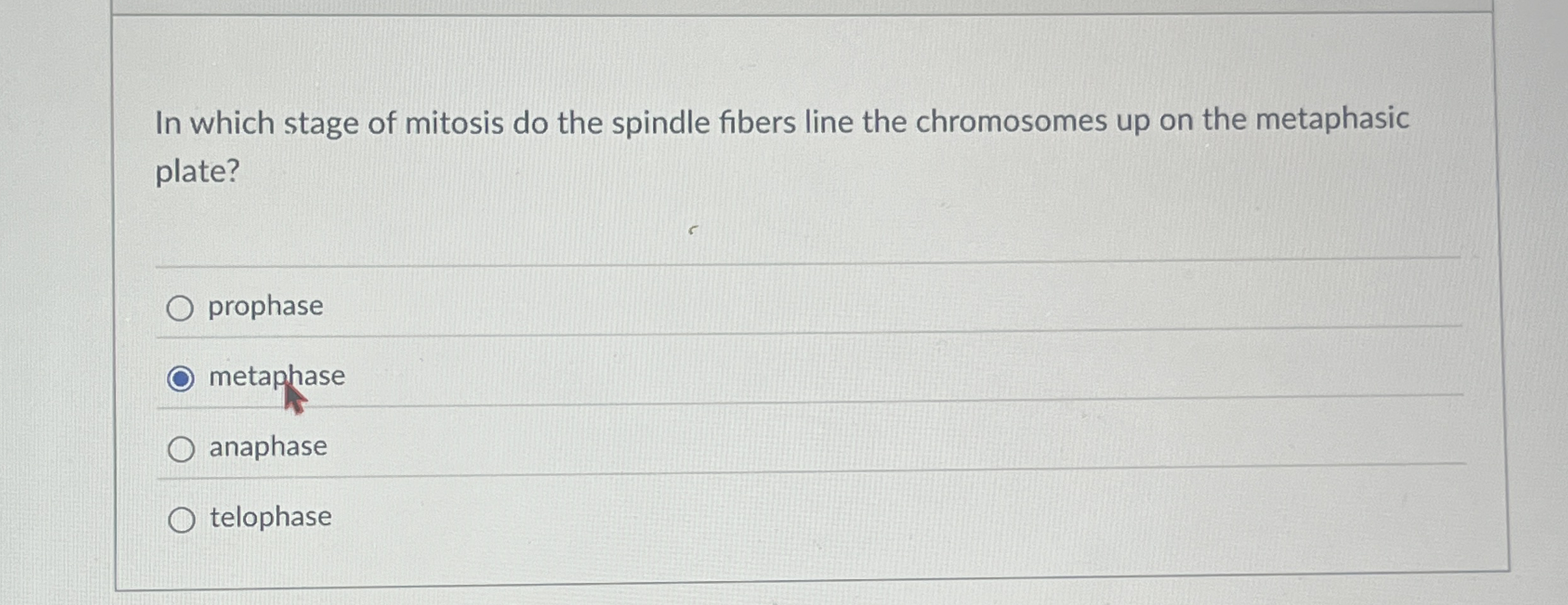 Solved In which stage of mitosis do the spindle fibers line | Chegg.com