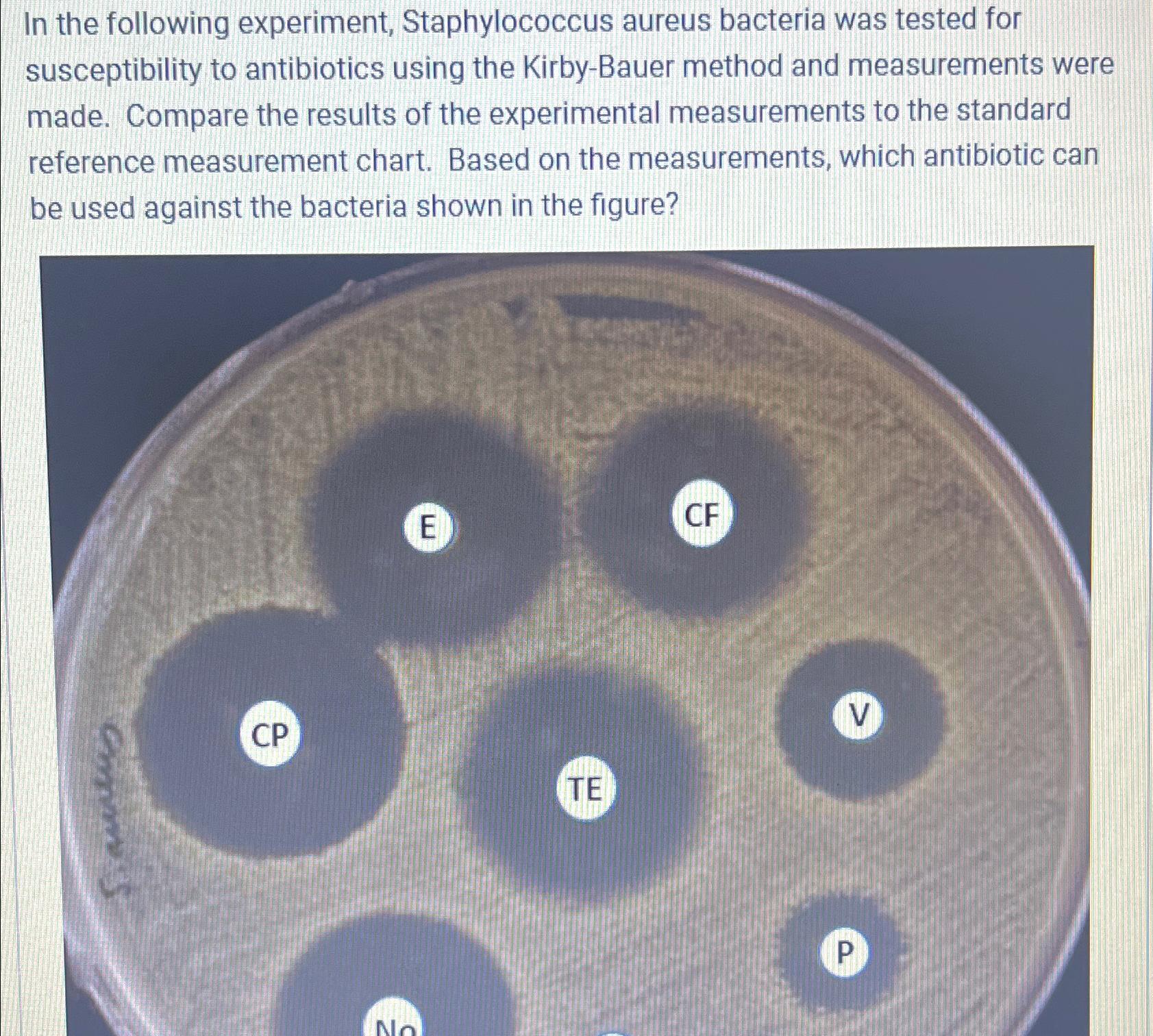 Solved In The Following Experiment Staphylococcus Aureus