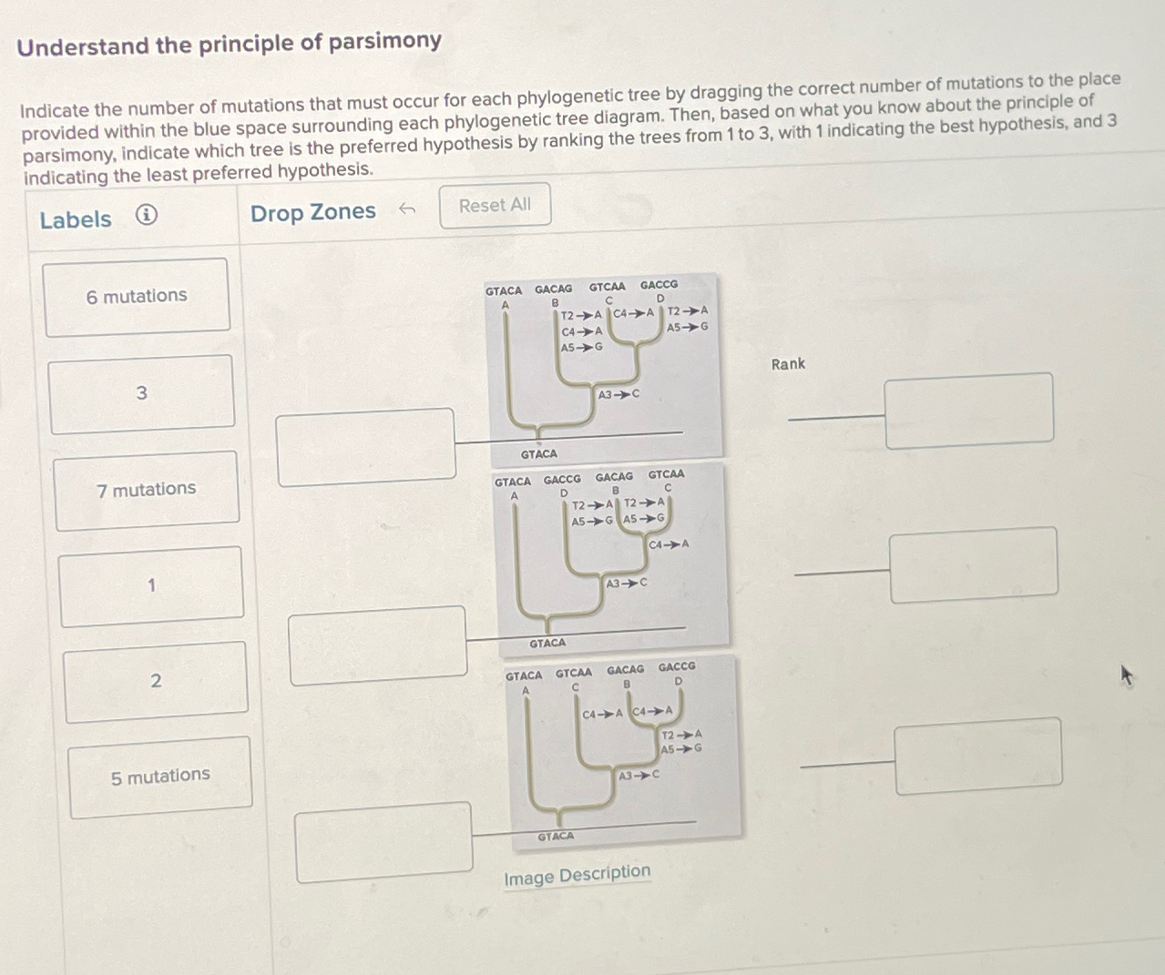 Solved Understand the principle of parsimonyIndicate the | Chegg.com