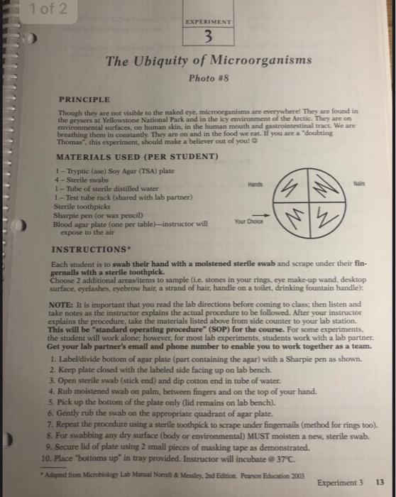 Solved 1 of 2 EXPERIMENT 3 The Ubiquity of Microorganisms | Chegg.com
