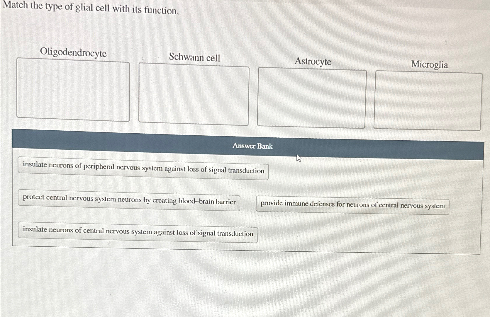 Solved Match the type of glial cell with its | Chegg.com