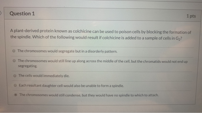 Solved Question 1 1 pts A plant-derived protein known as | Chegg.com