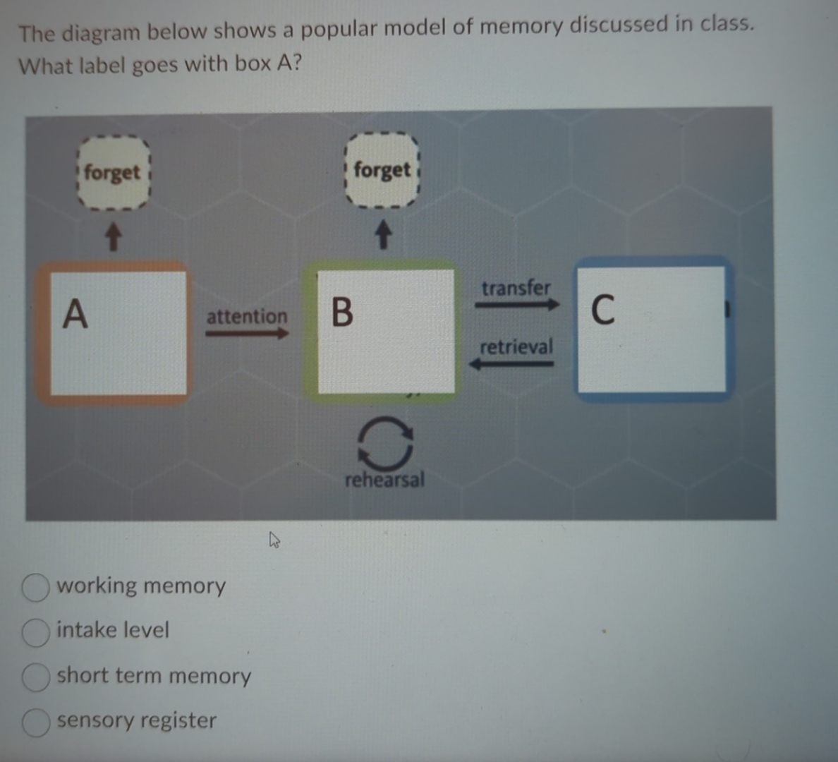 Solved The diagram below shows a popular model of memory | Chegg.com