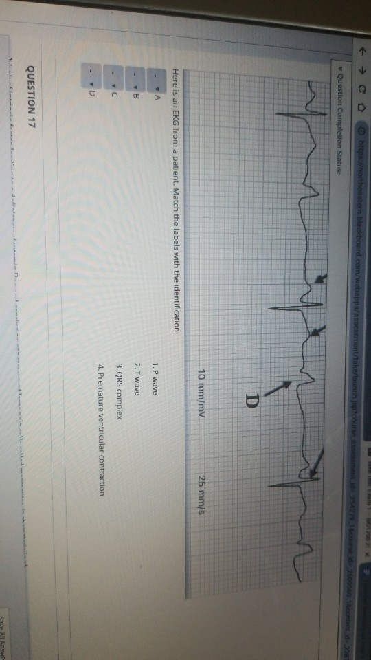 Solved 60content QUESTION 16 Unclassified 78 BPM A B С her D | Chegg.com
