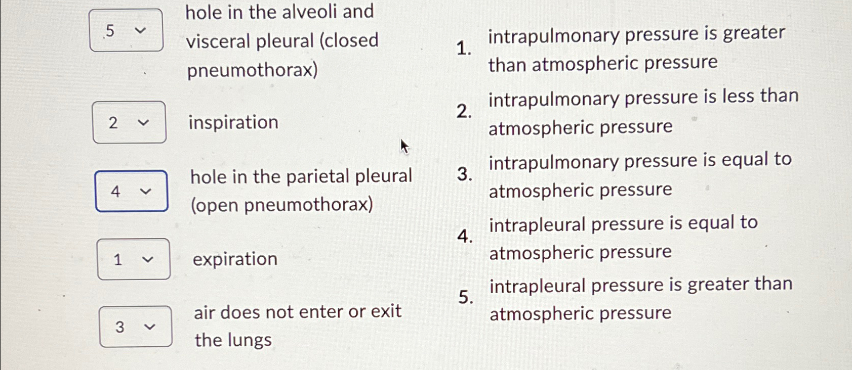 Solved hole in the alveoli and visceral pleural (closed | Chegg.com