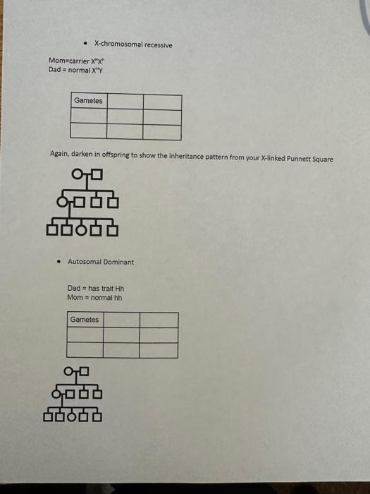 Solved Again, darken in offspring to show the inheritance | Chegg.com