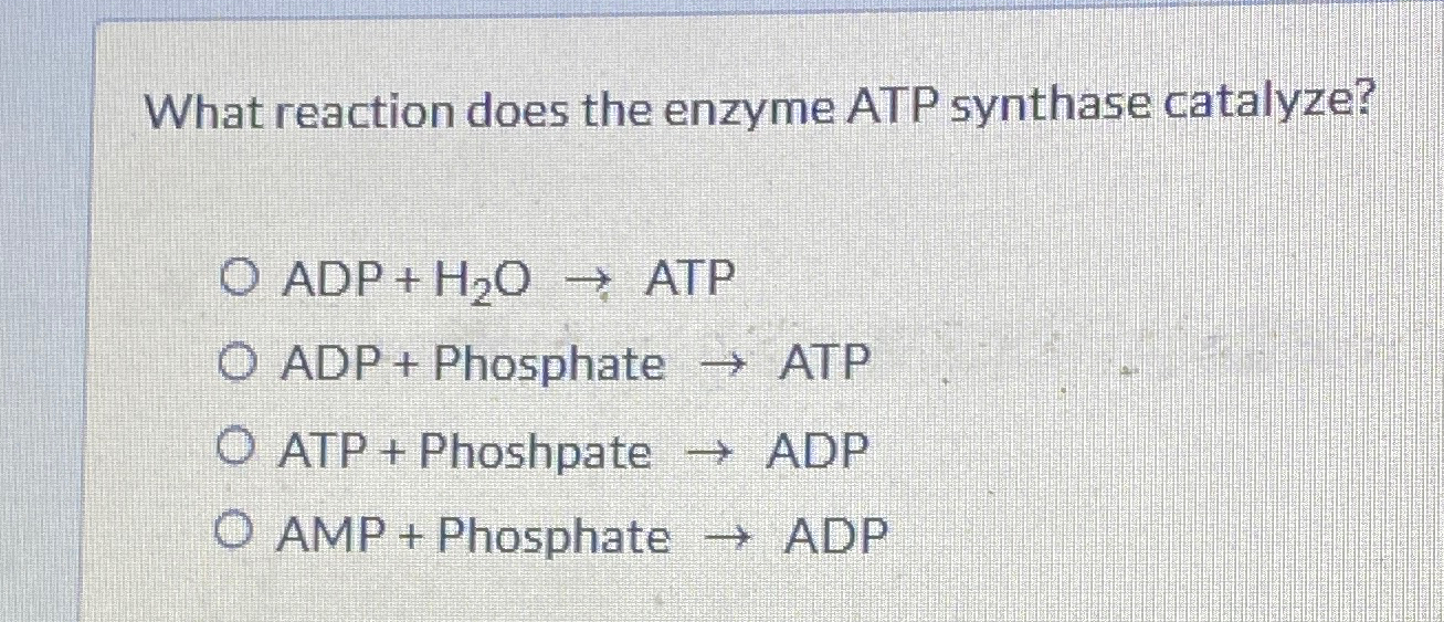 Solved What reaction does the enzyme ATP synthase | Chegg.com