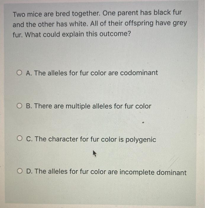 Solved Two mice are bred together. One parent has black fur | Chegg.com