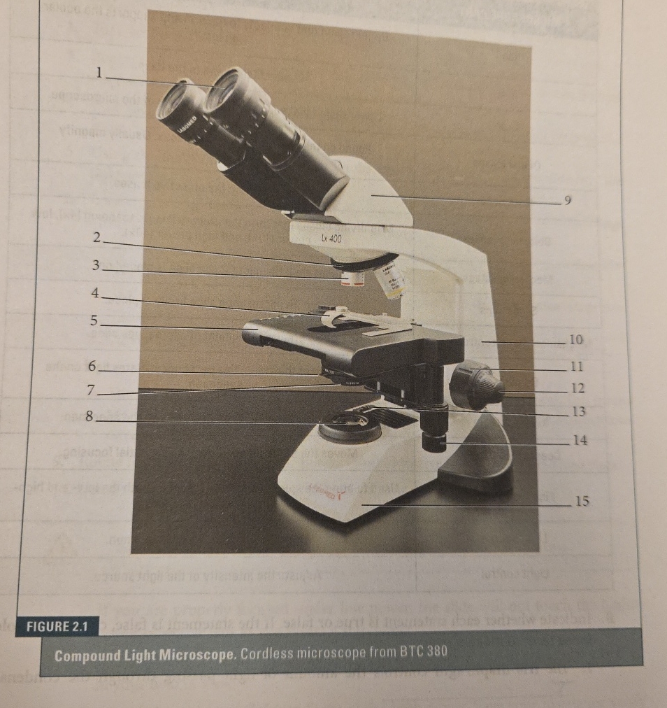 Solved label Compound Light Microscope. Cordless microscope | Chegg.com