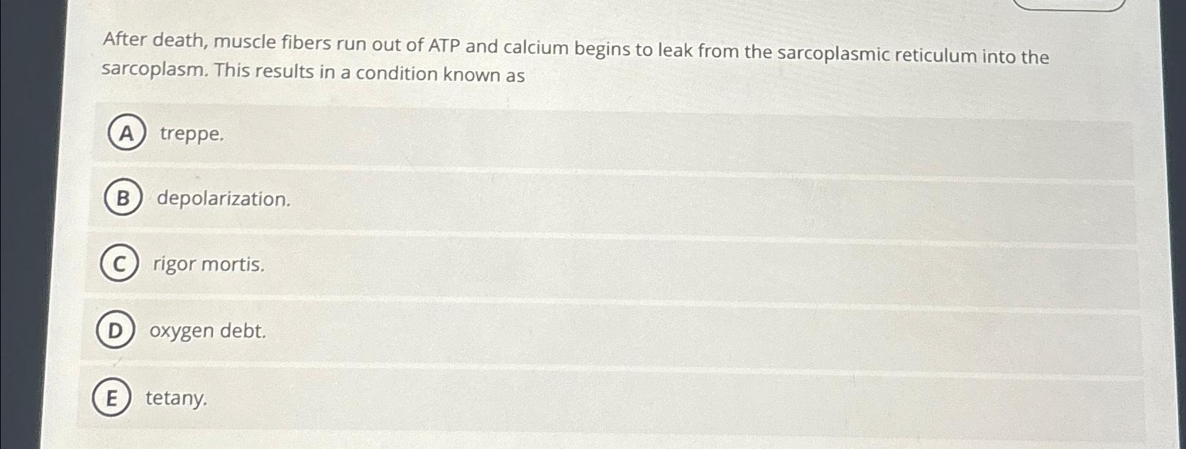 Solved After death, muscle fibers run out of ATP and calcium | Chegg.com