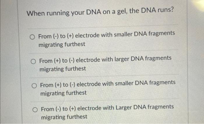 Solved When running your DNA on a gel, the DNA runs? O From | Chegg.com
